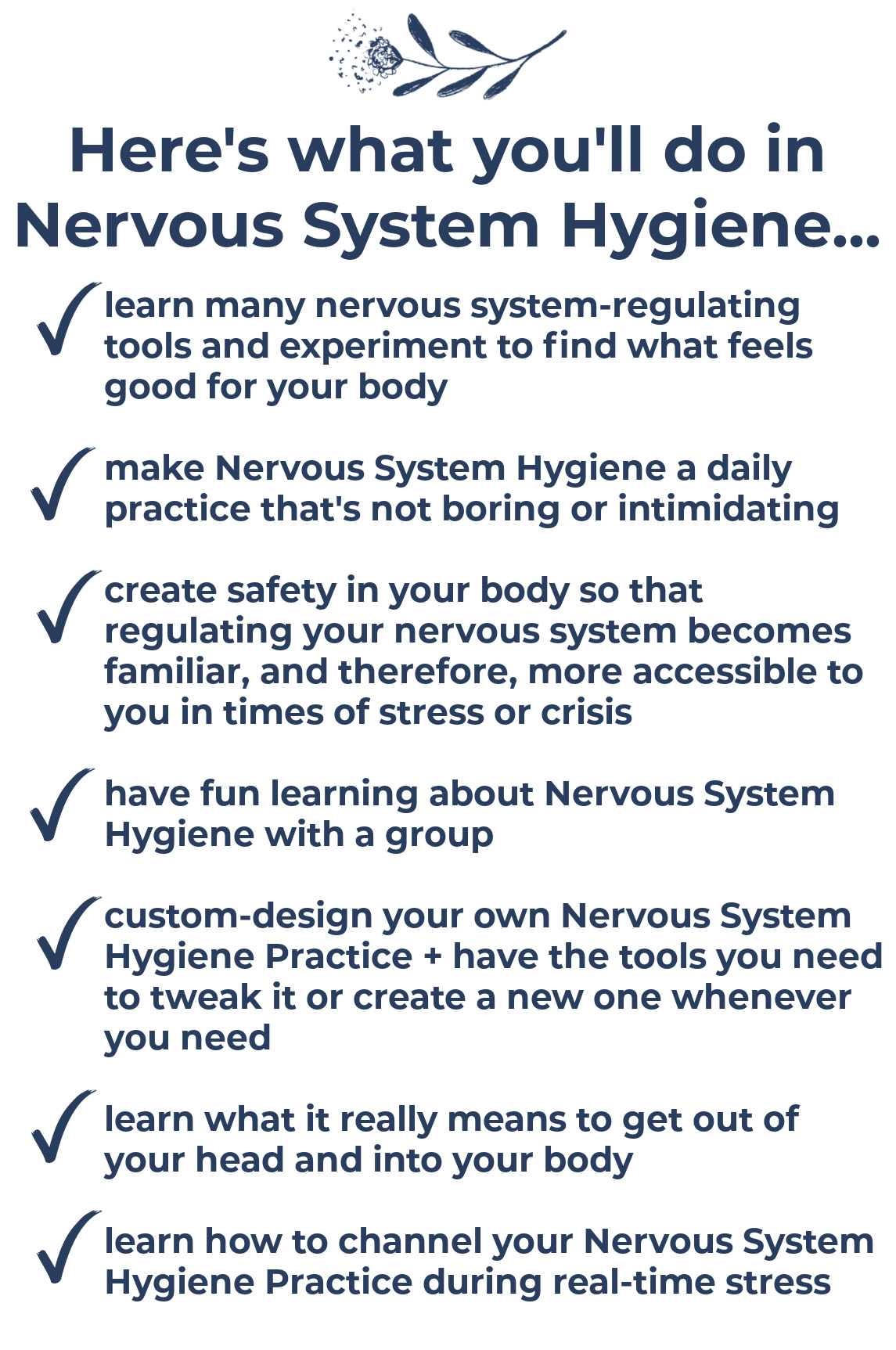 Nervous System Hygiene (Group Program) - LindseyLockett.com