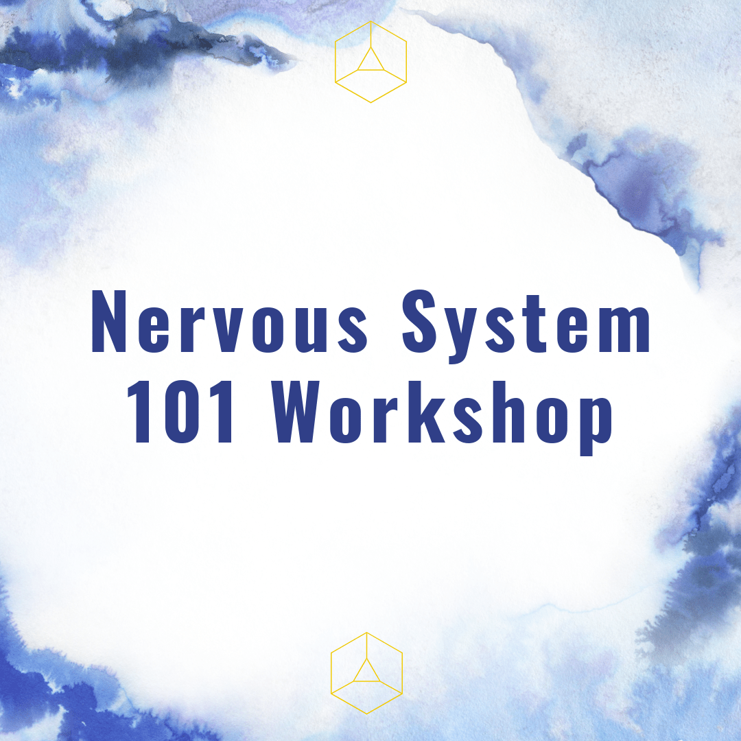 Nervous System 101 Workshop - Standalone Recording - LindseyLockett.com