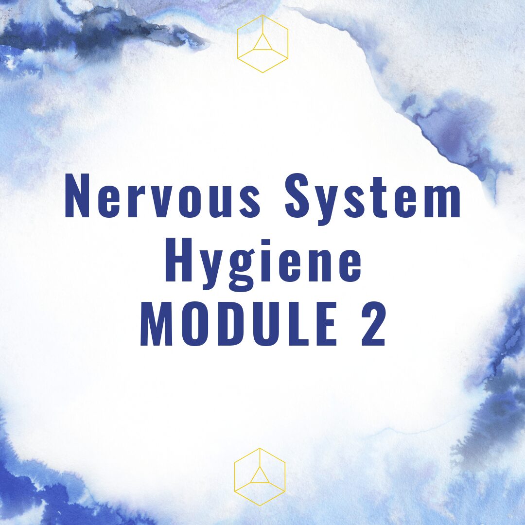 MODULE 2 - LindseyLockett.com