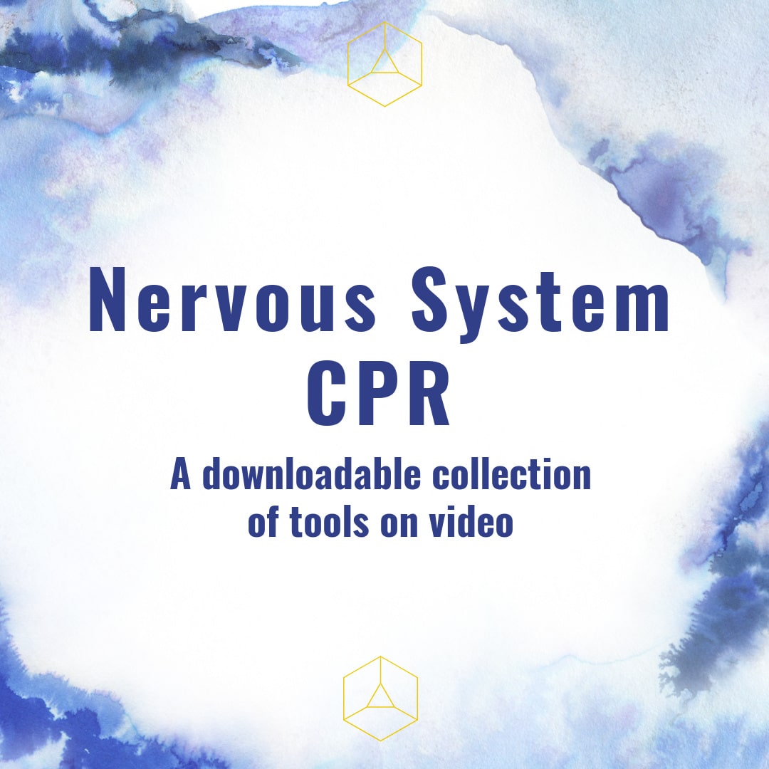 Nervous System CPR - LindseyLockett.com