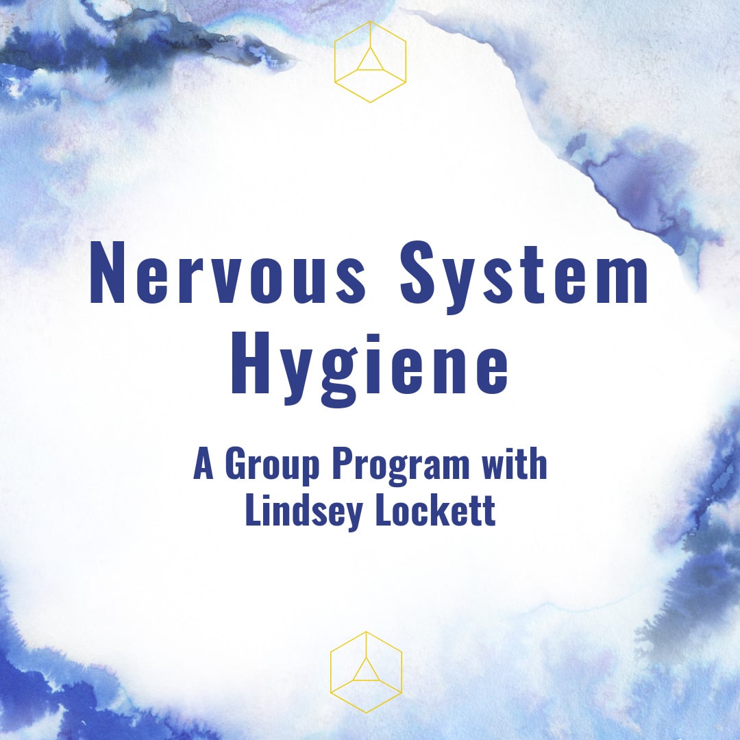 Nervous System Hygiene (Group Program) - LindseyLockett.com